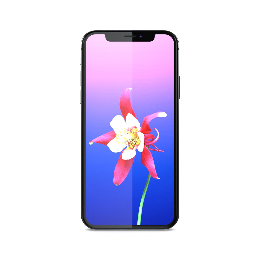 3D Apple Iphone X - TurboSquid 1202336