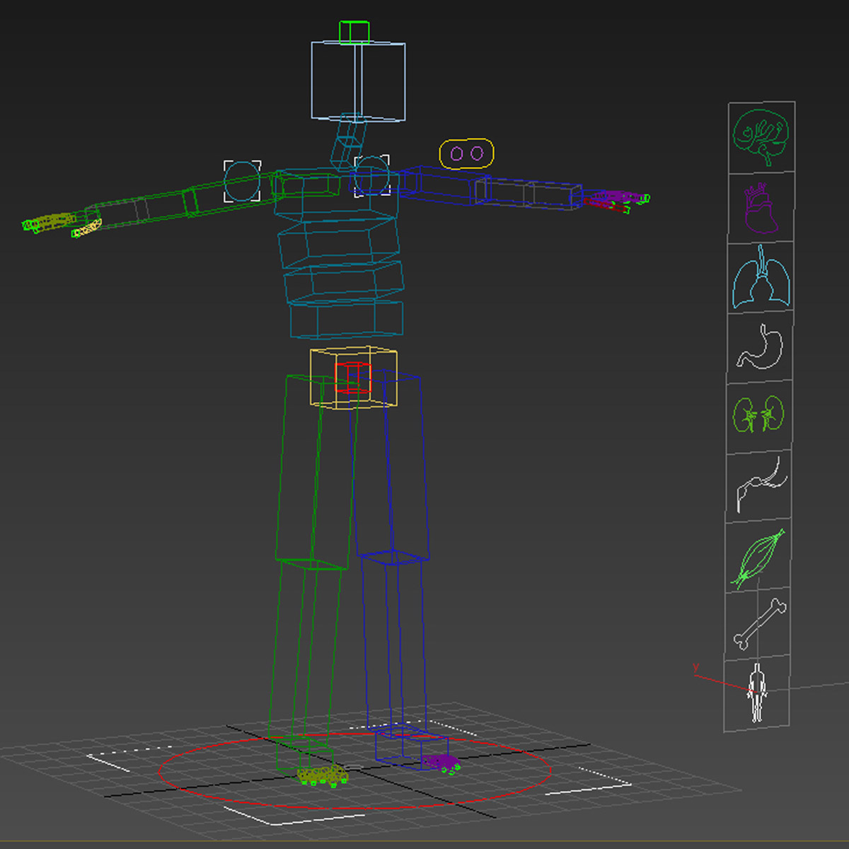 rigged complete male female 3d model