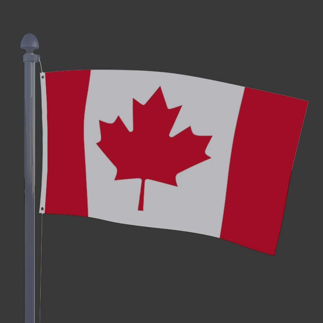 Animation Flag 3D Model - TurboSquid 1330193