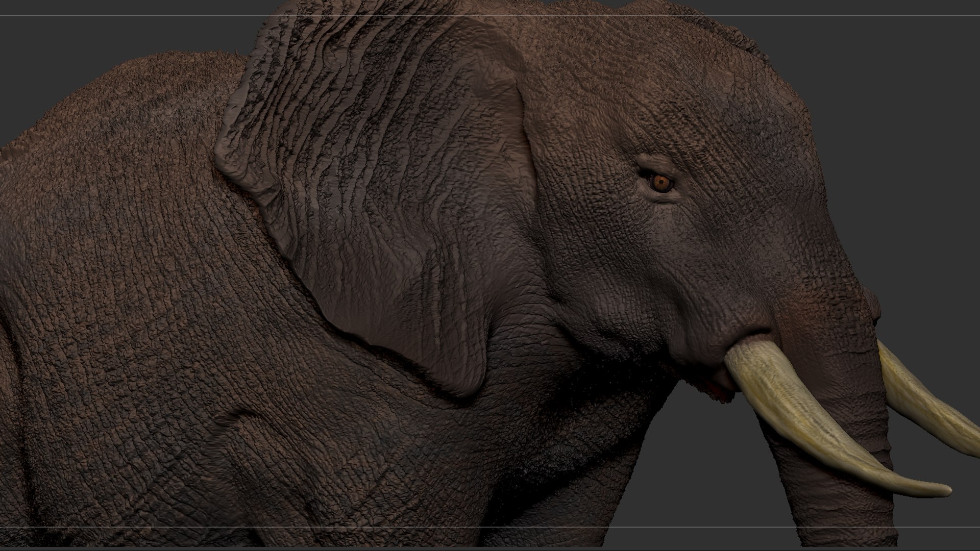 African Elephant Grey Brown 3D - TurboSquid 1435348