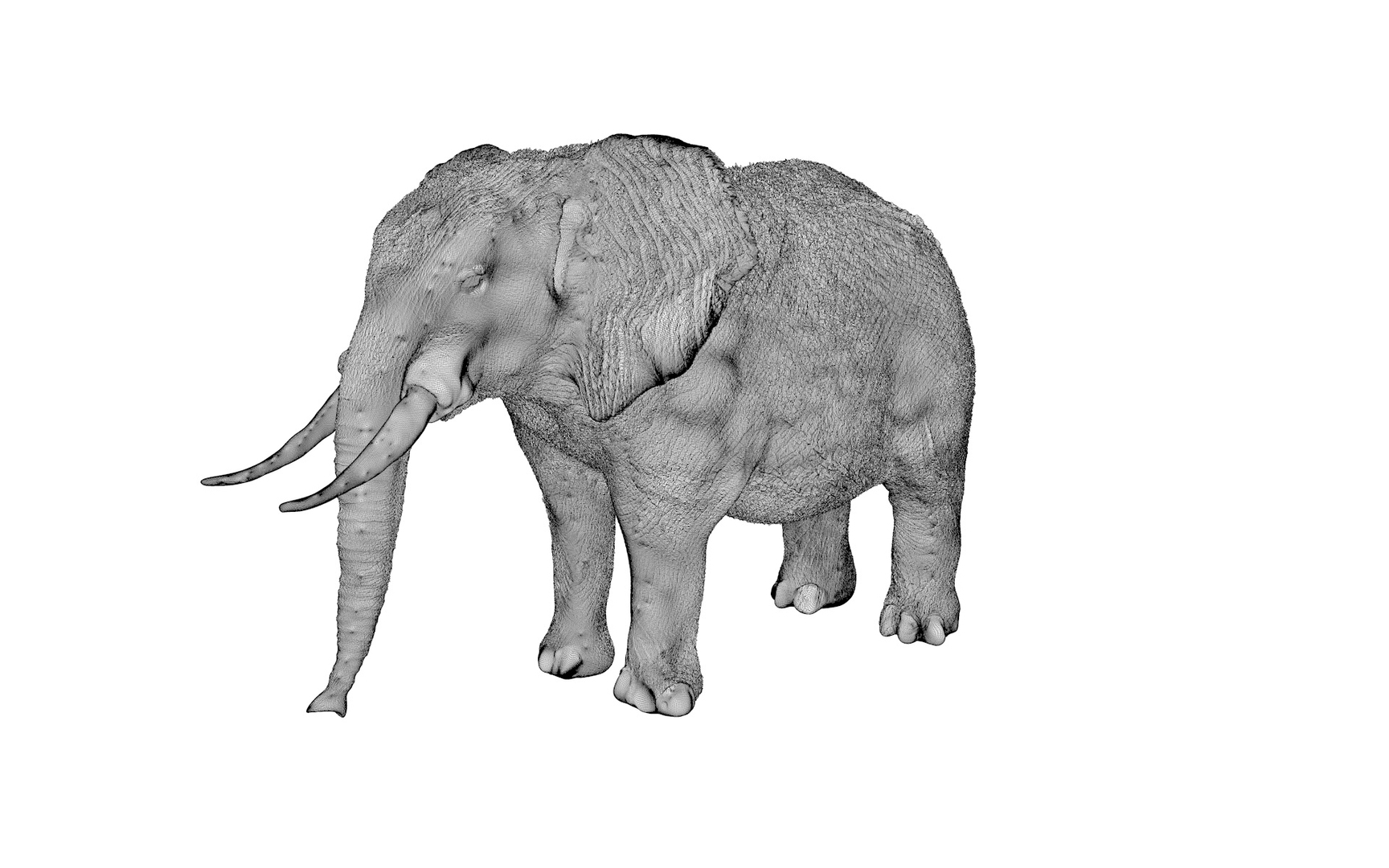 African Elephant Grey Brown 3D - TurboSquid 1435348
