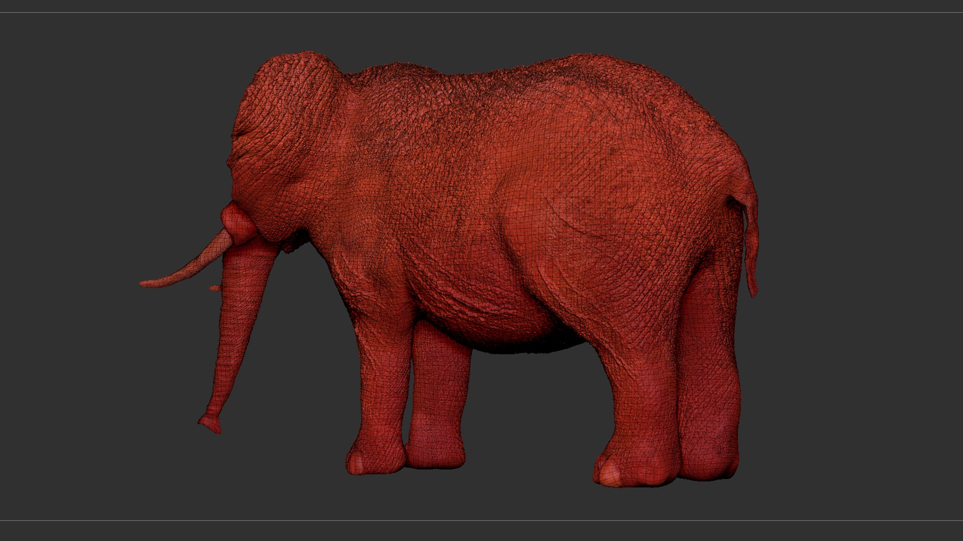 African Elephant Grey Brown 3D - TurboSquid 1435348