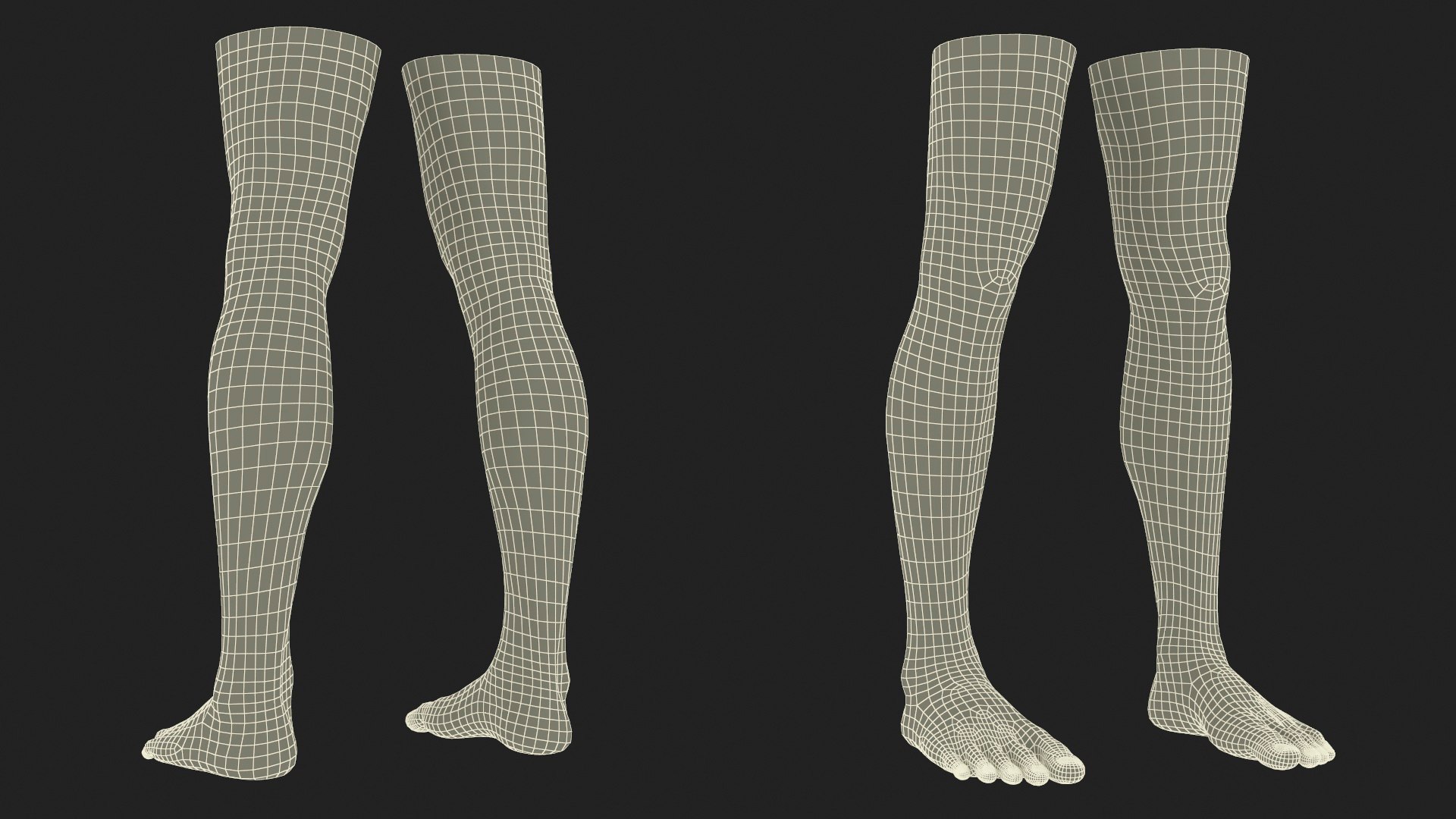 Realistic Human Male Legs 3D Model - TurboSquid 2273107