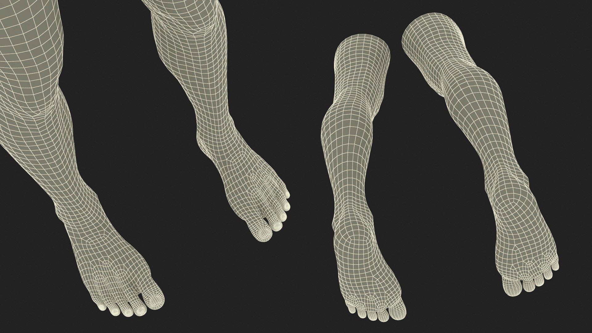 Realistic Human Male Legs 3D Model - TurboSquid 2273107