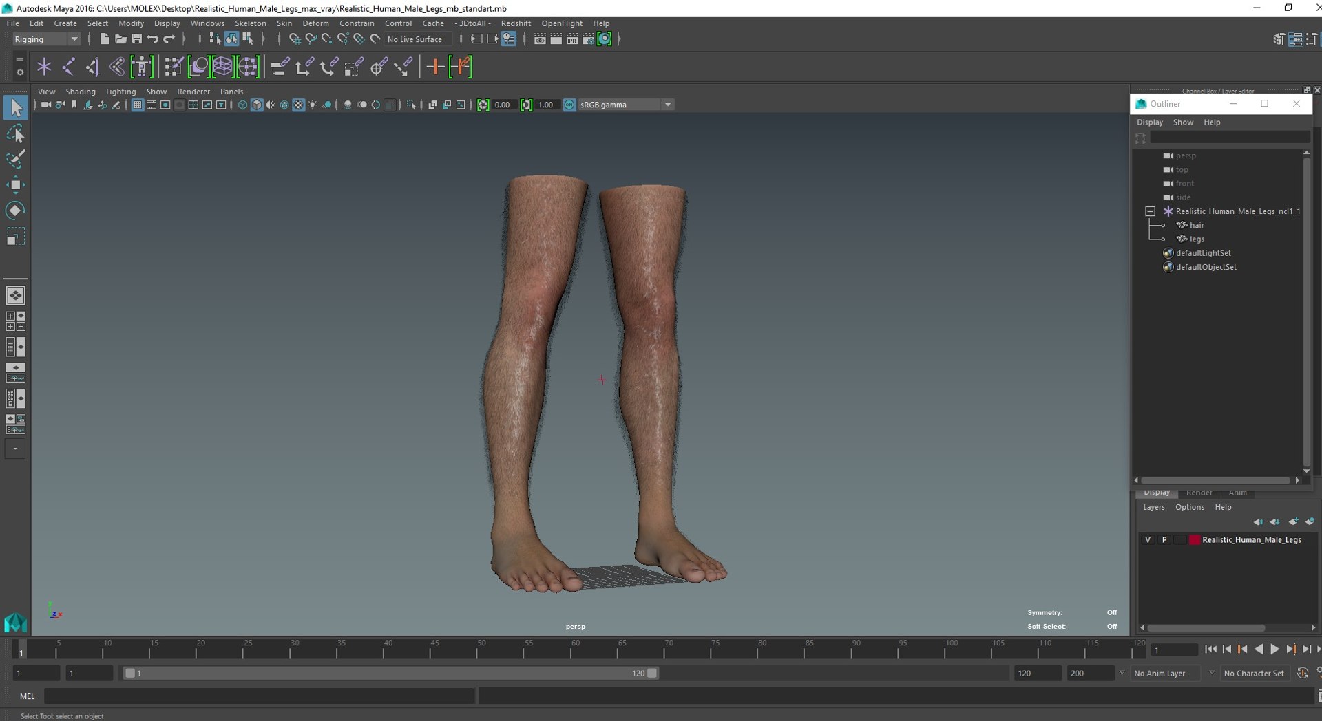 Realistic Human Male Legs 3D Model - TurboSquid 2273107