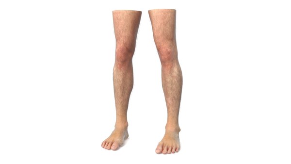 modelo 3d Piernas masculinas humanas realistas - TurboSquid 2273107
