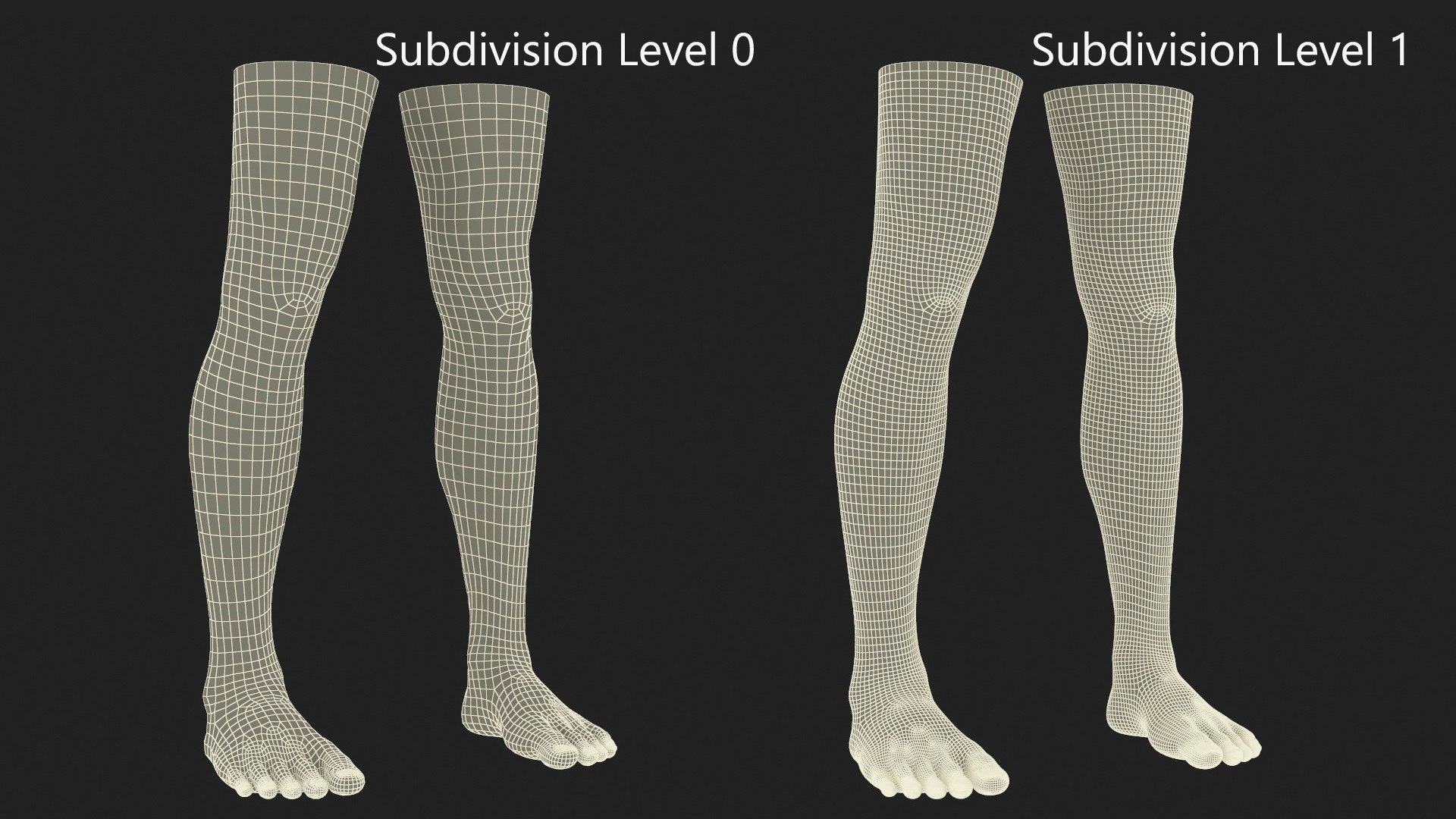 Realistic Human Male Legs 3D Model - TurboSquid 2273107