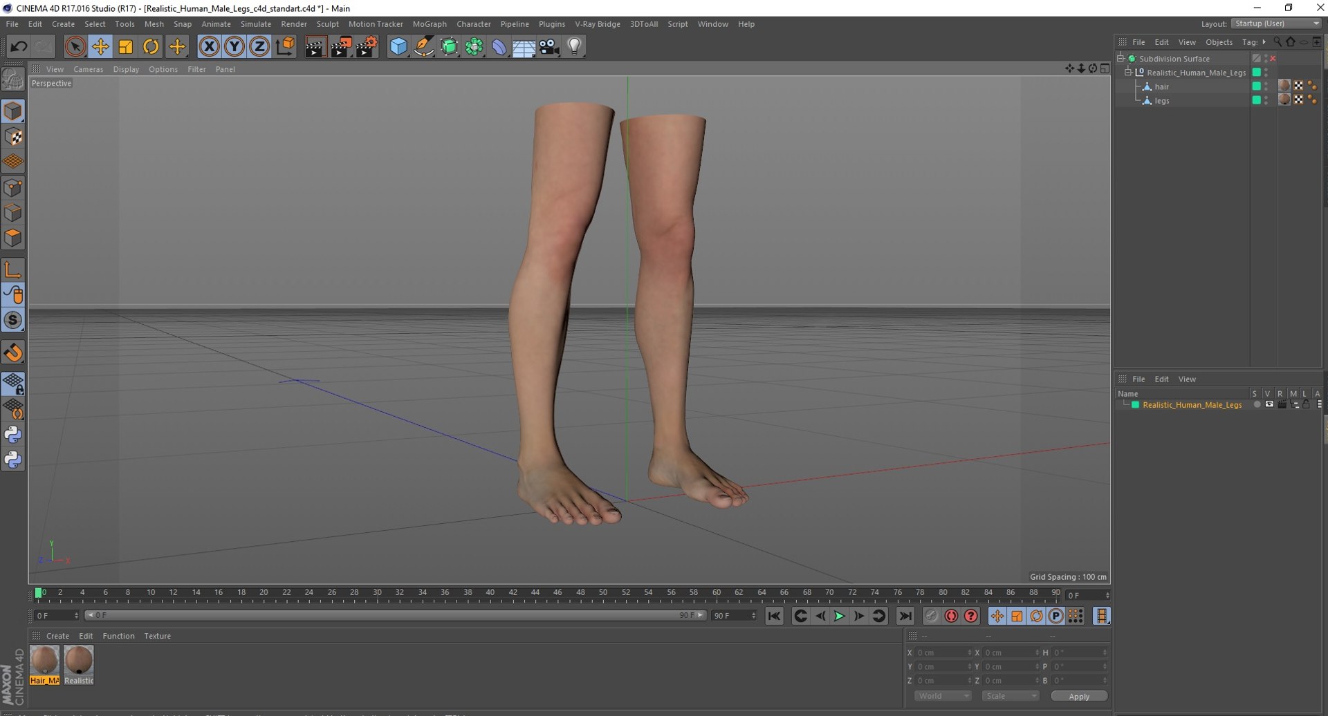 Realistic Human Male Legs 3D Model - TurboSquid 2273107