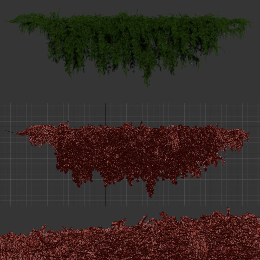 3D Creeper Juniper Vol 254-3dsmax-Blender - TurboSquid 2189443