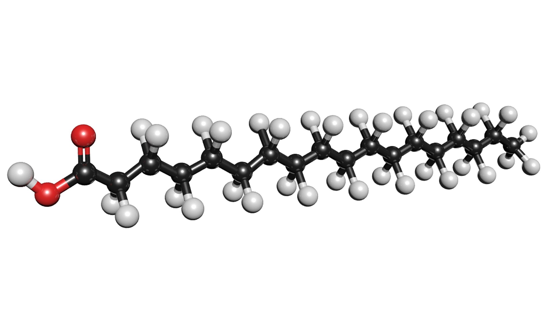 3D Stearic Acid Molecule C18h36o2 - TurboSquid 1427134