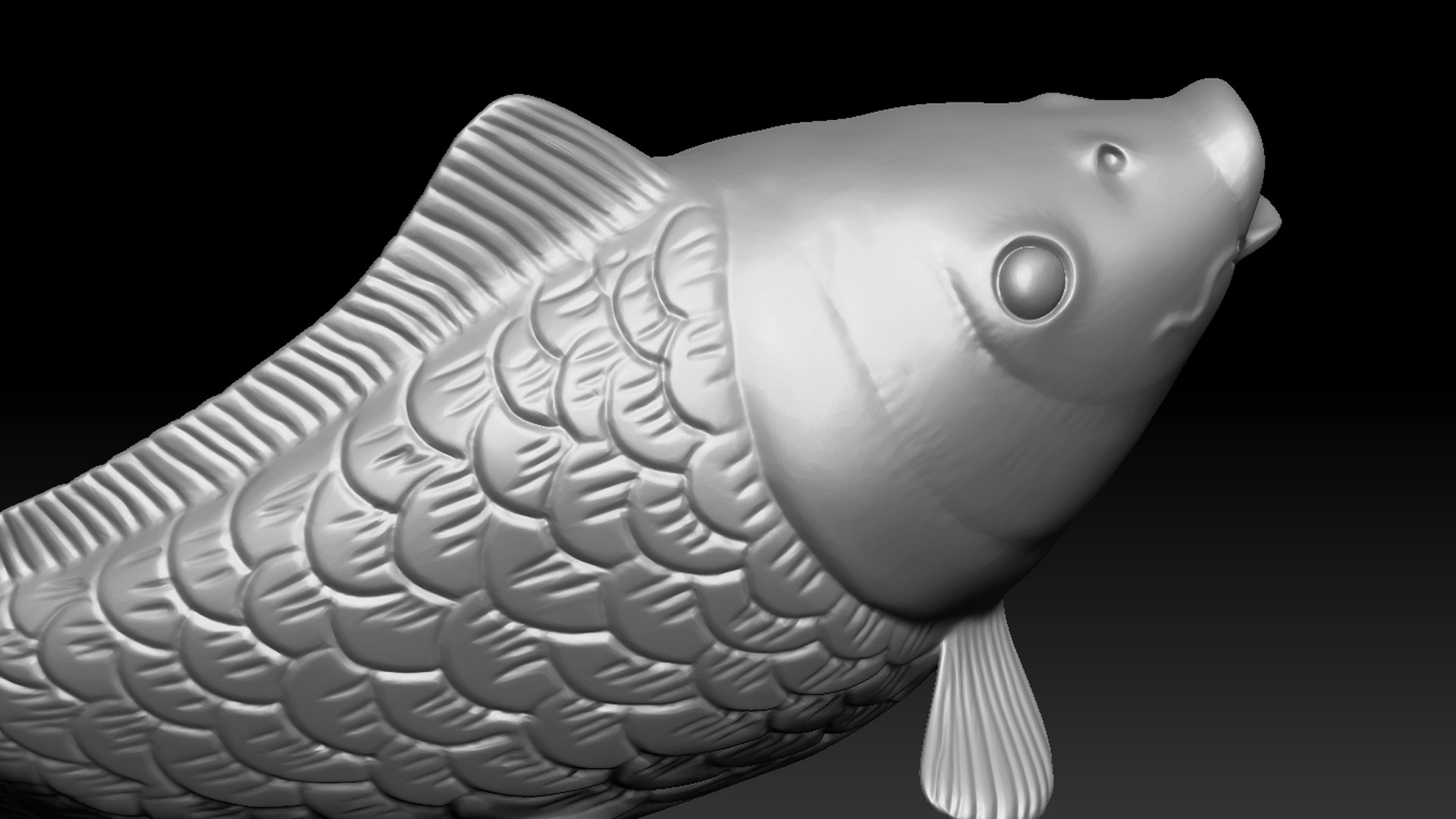Carp 3D - TurboSquid 2069460