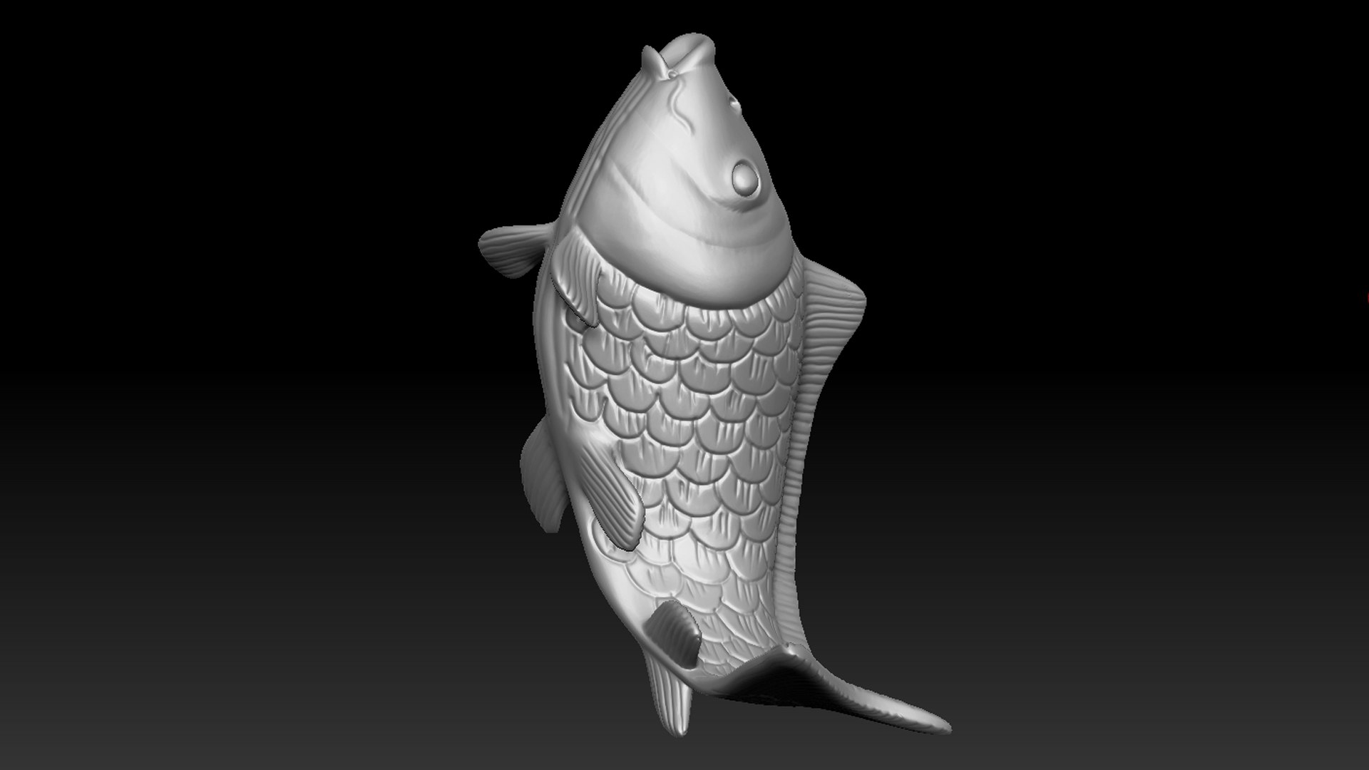 Carp 3D - TurboSquid 2069460