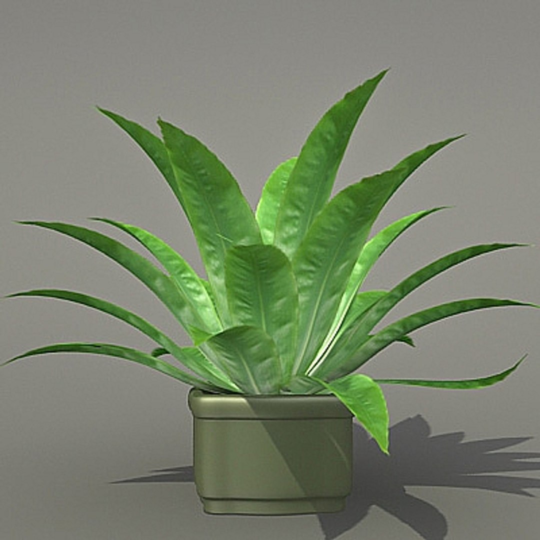 plant 3d 3ds