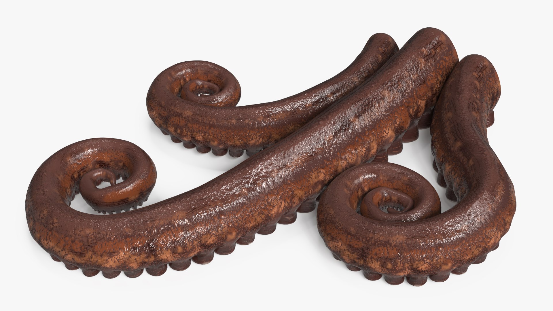 Marine Octopus Tentacles Curled 3D Model - TurboSquid 2515705