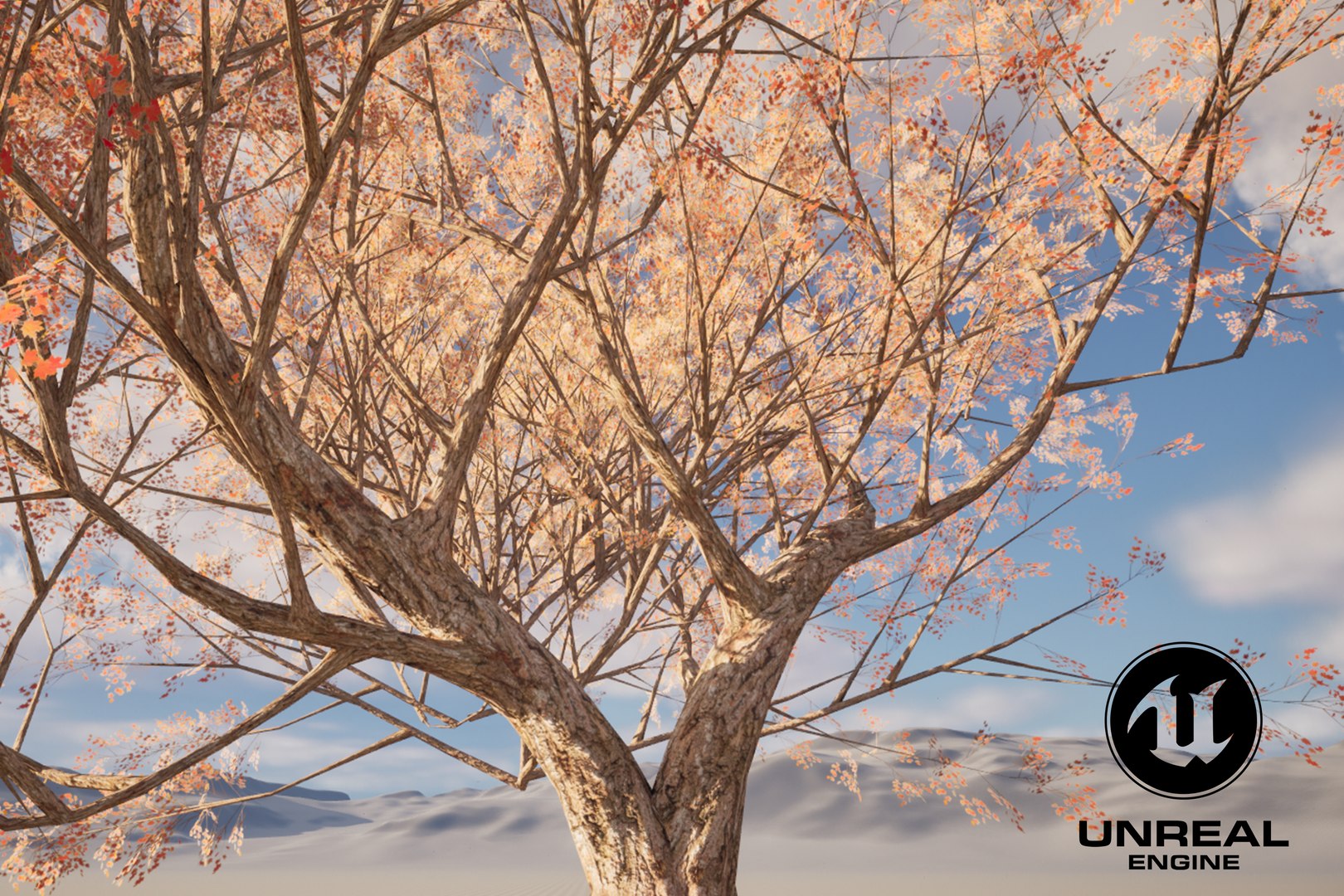 3D Maple Tree 01 Model - TurboSquid 2250350