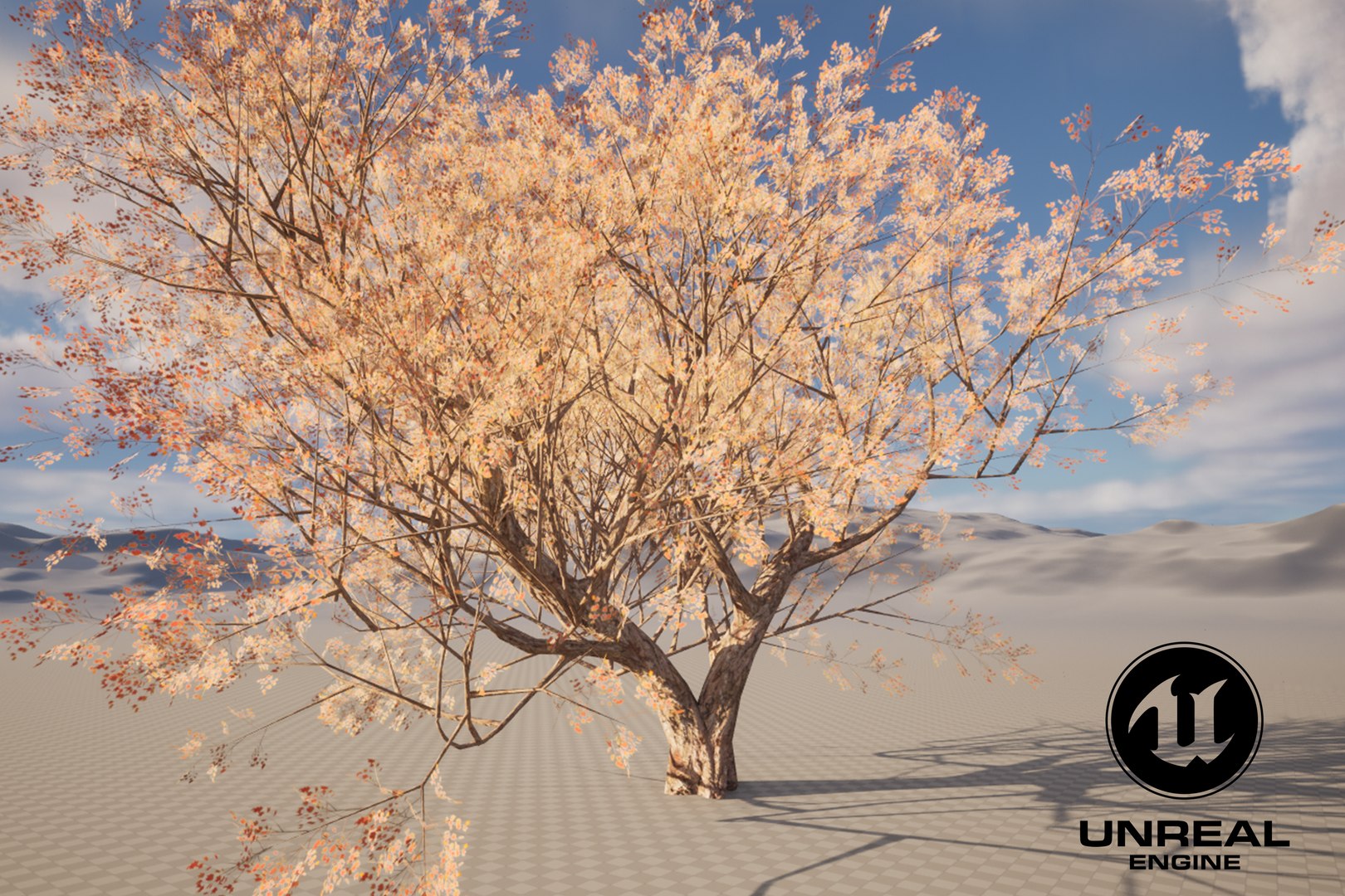 3D Maple Tree 01 Model - TurboSquid 2250350