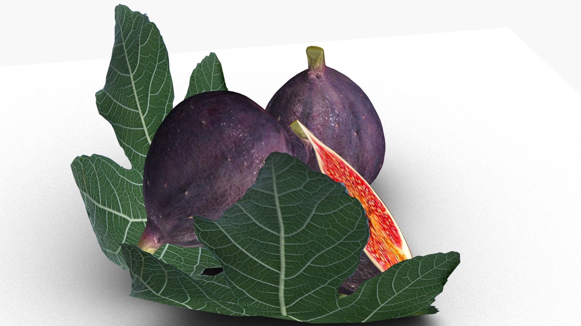 Fig 3D Model - TurboSquid 2135788