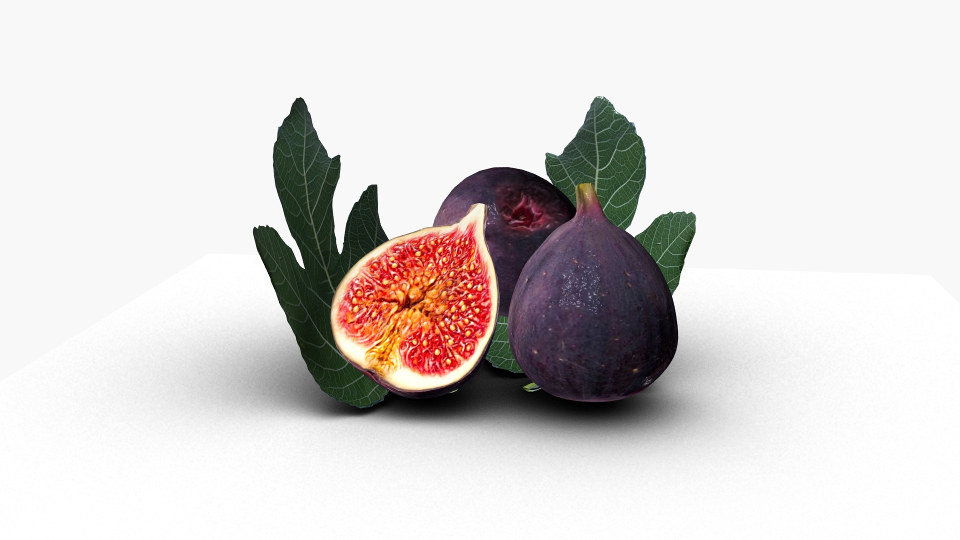 Fig 3D Model - TurboSquid 2135788