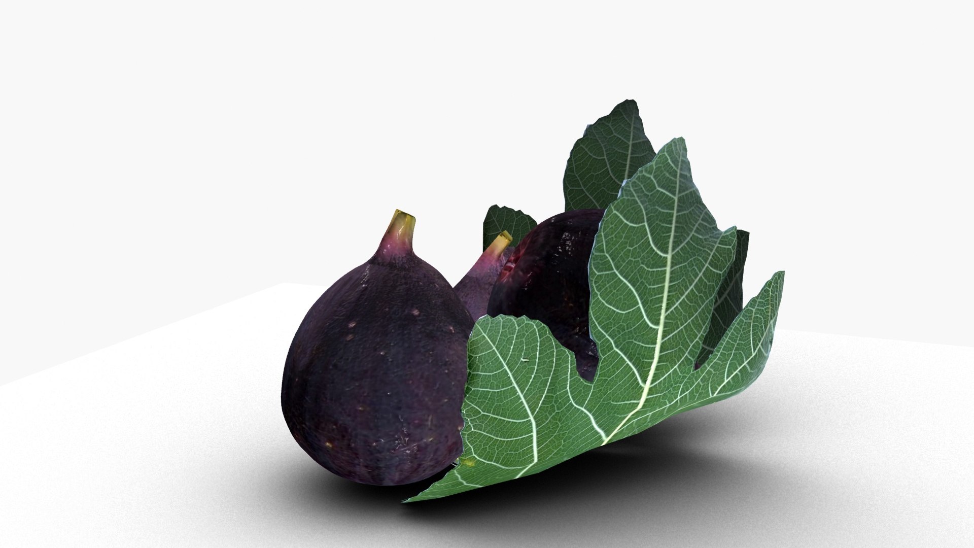 Fig 3D Model - TurboSquid 2135788