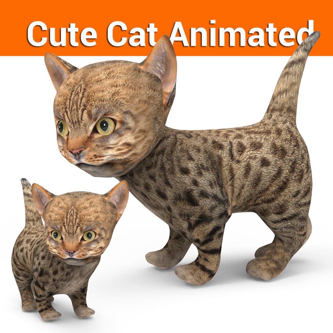 Cute Cat Animation 3D Model - TurboSquid 1219526