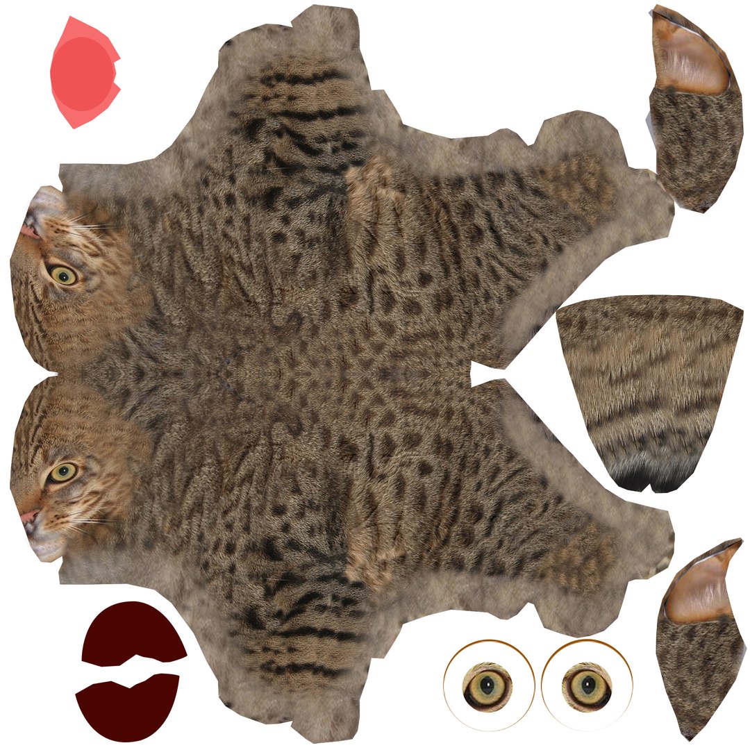 Cute Cat Animation 3D Model - TurboSquid 1219526