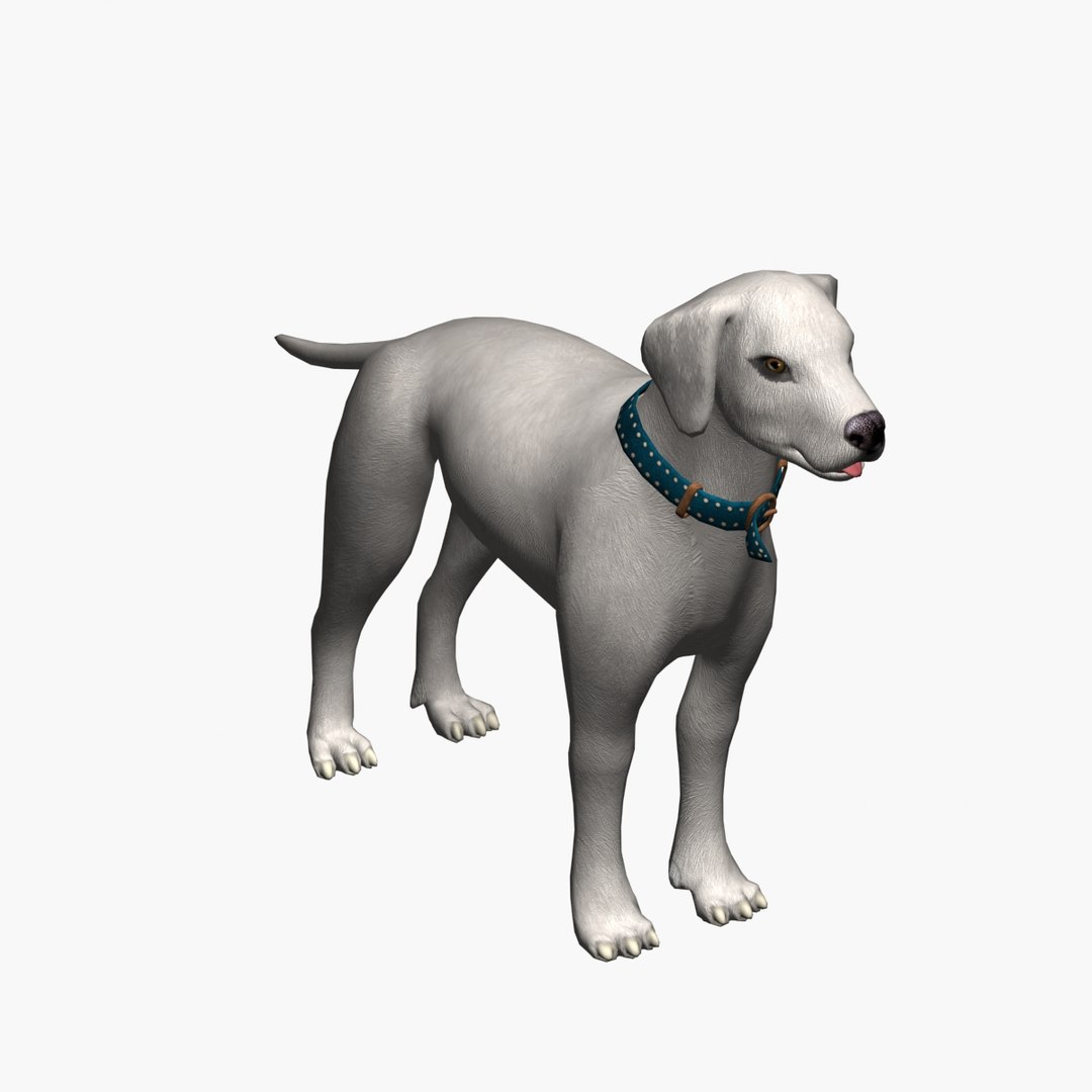 Dog White 3ds