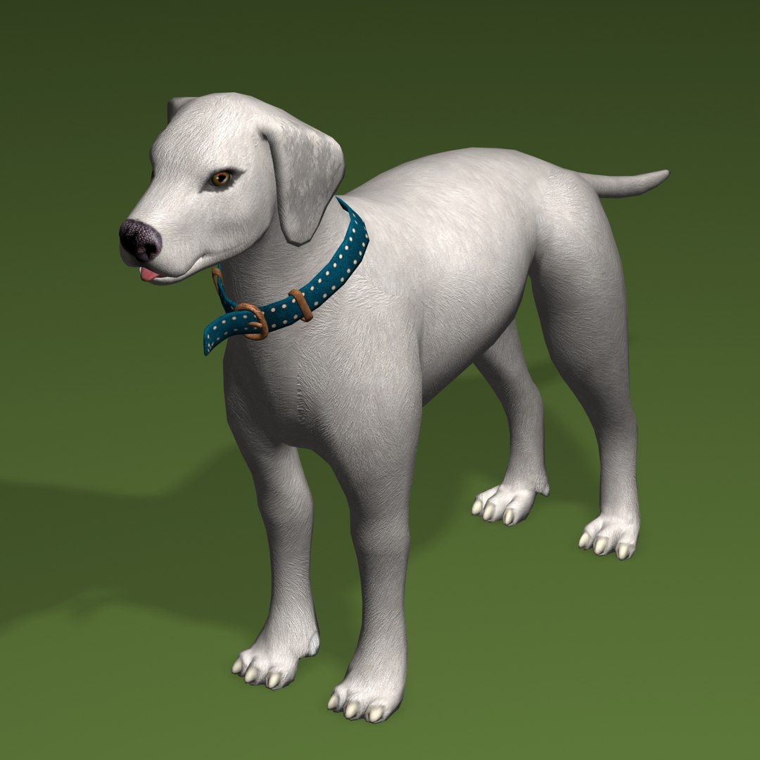 Dog White 3ds