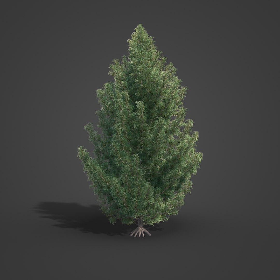 3D 2021 PBR Red Juniper Collection - Juniperus Virginiana - TurboSquid ...