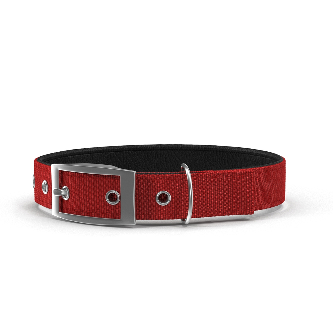 dog collars modeled 3d model