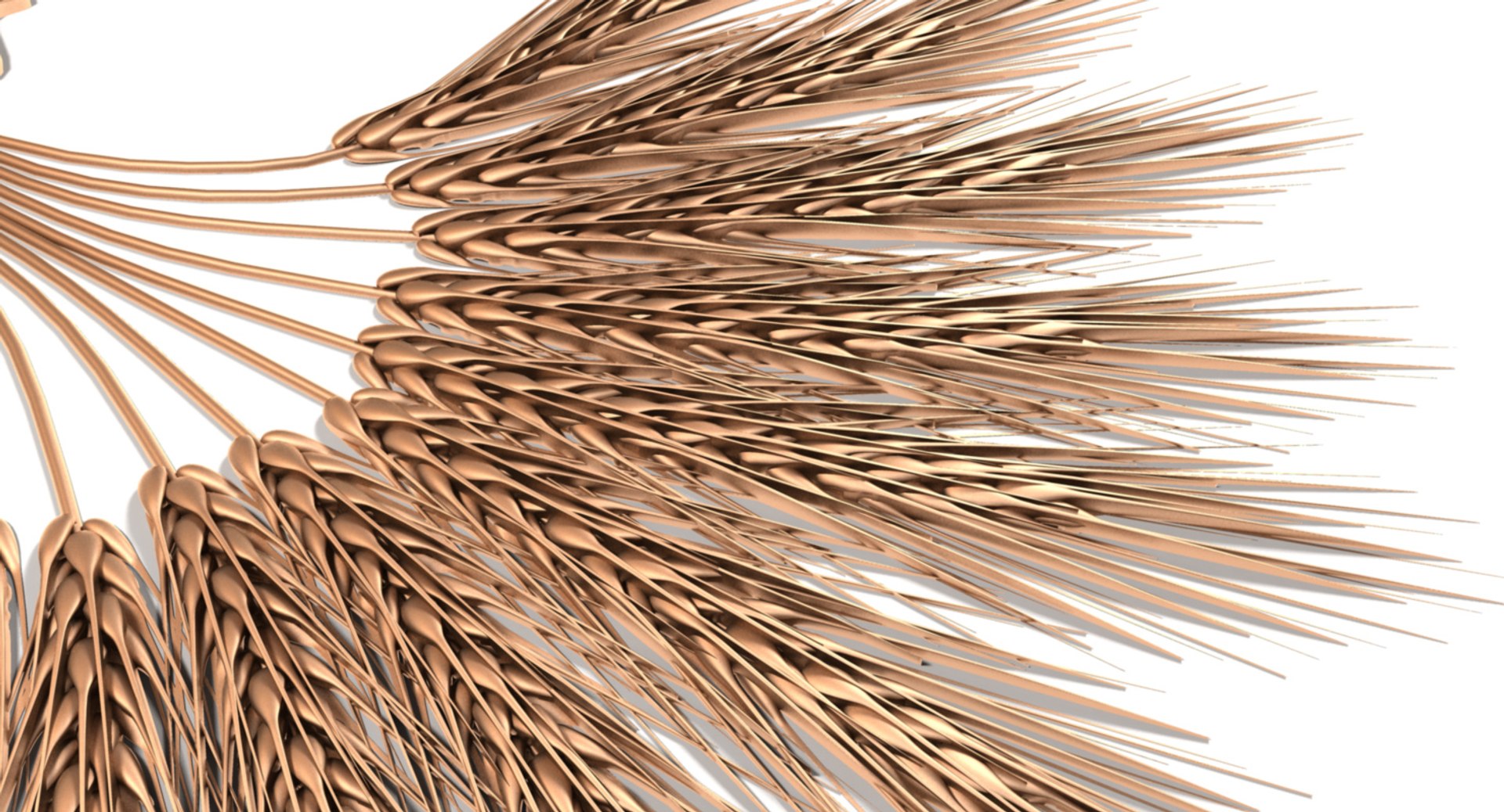 3d wheat composition