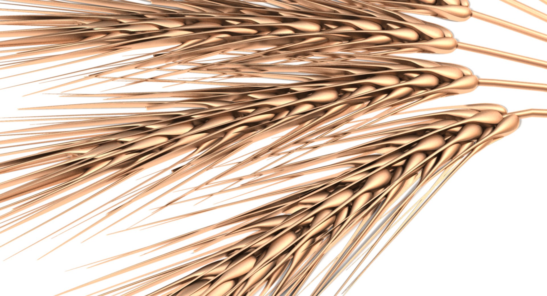 3d wheat composition