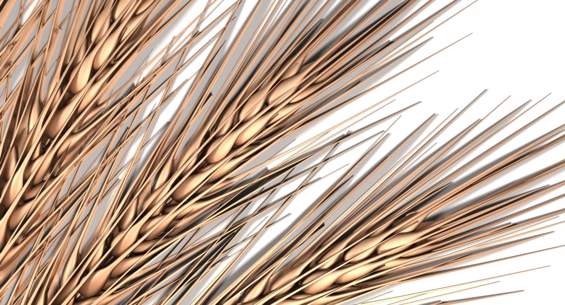 3d wheat composition