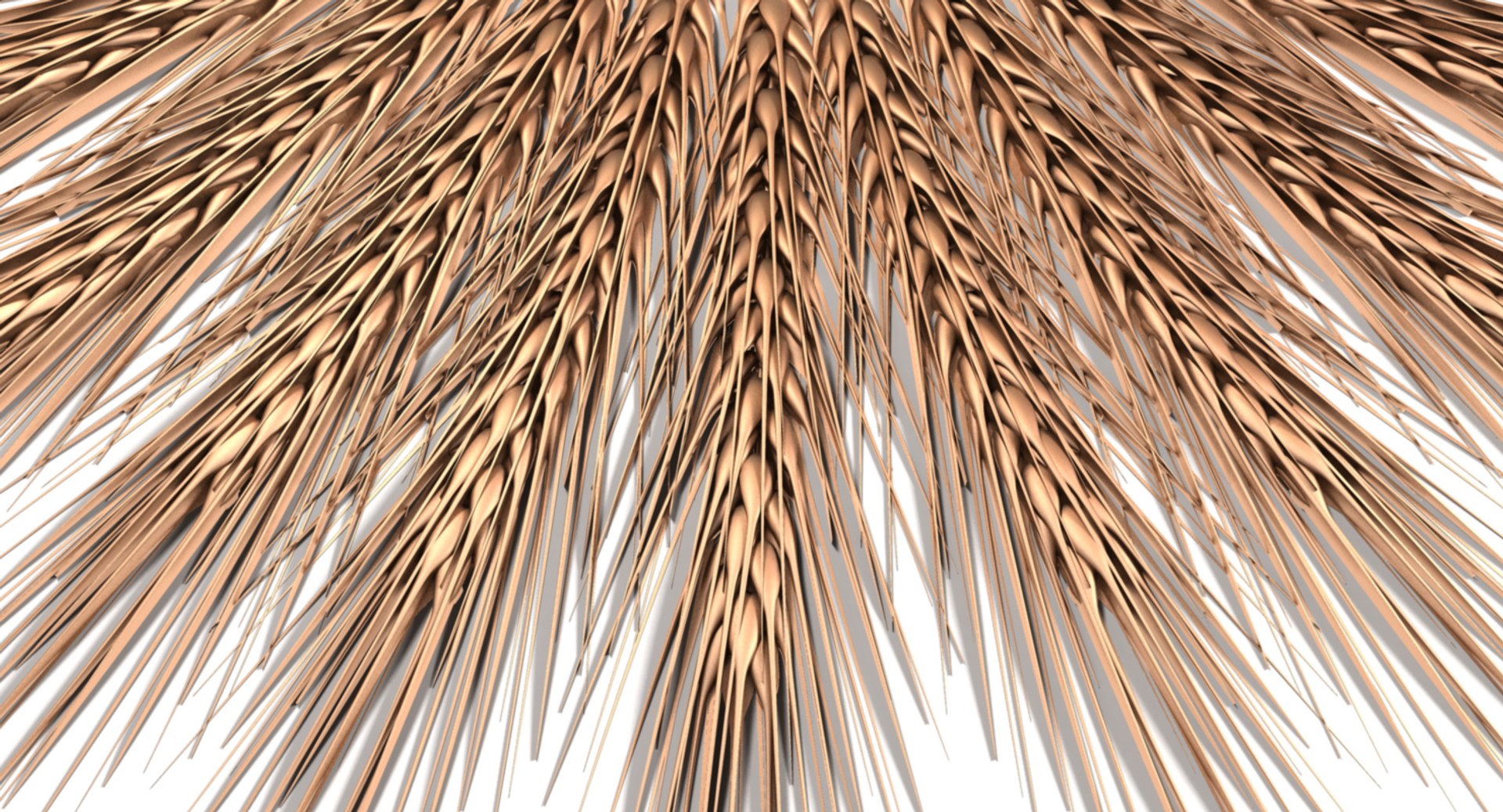 3d wheat composition