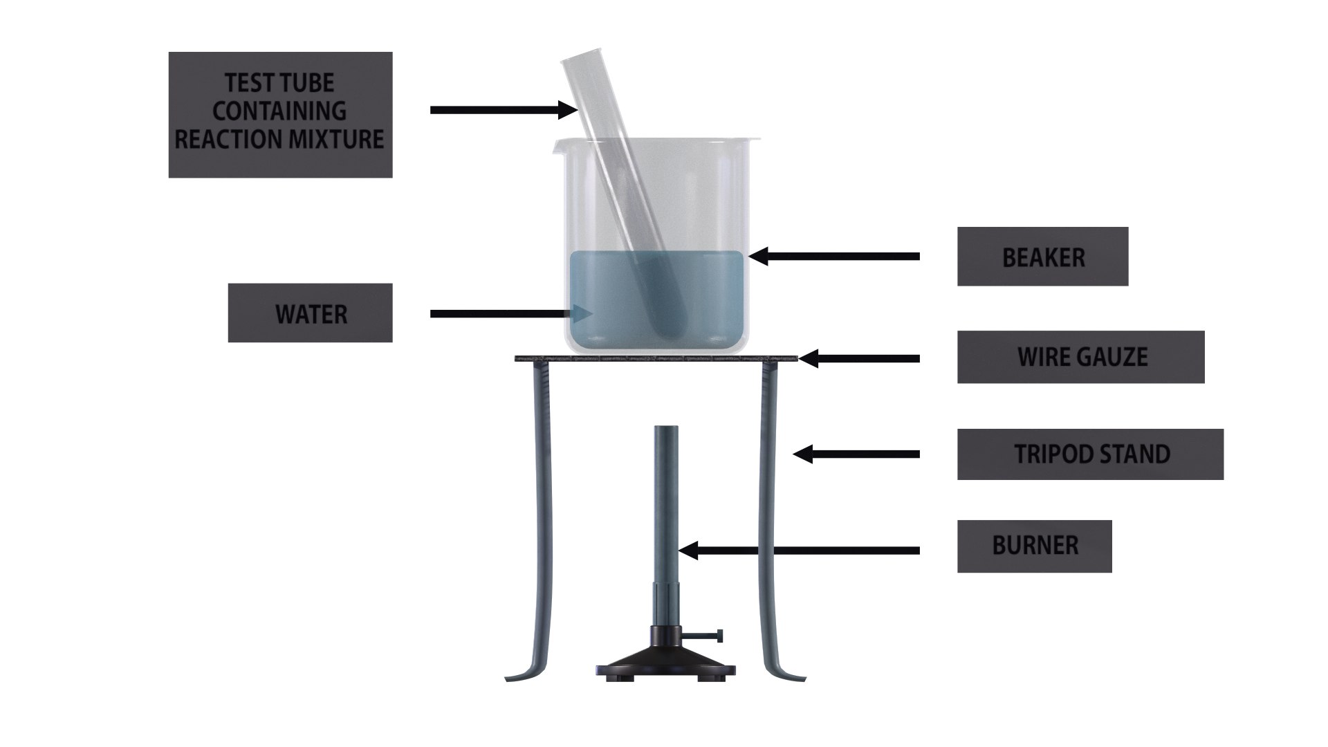 Formation Ester 3D Model - TurboSquid 2172868