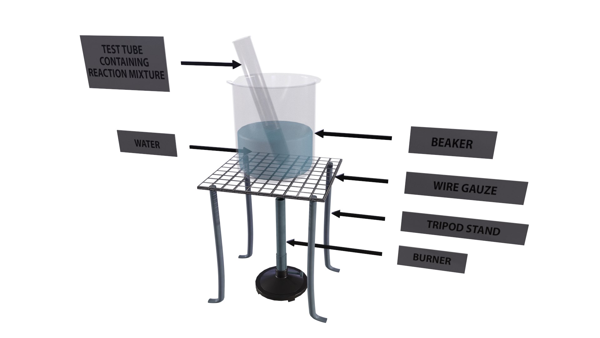 Formation Ester 3D Model - TurboSquid 2172868