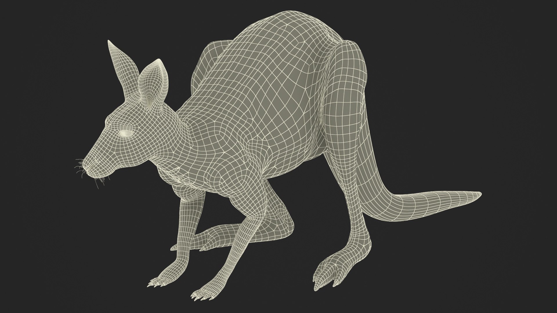 3D Kangaroo Stands On Four Paws Fur - TurboSquid 2284097