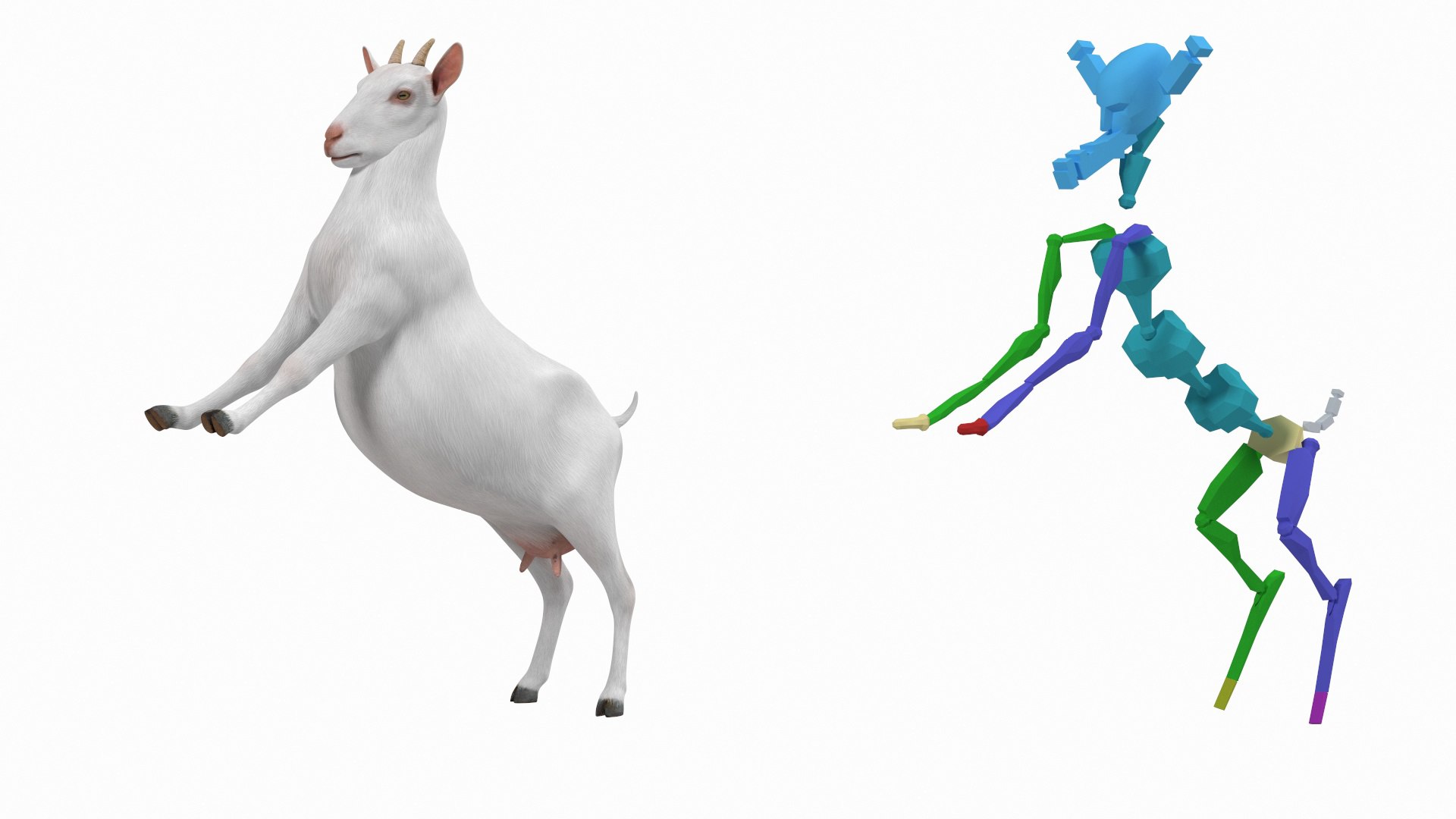 Goat Saanen Breed Rigged 3D Model - TurboSquid 1991639
