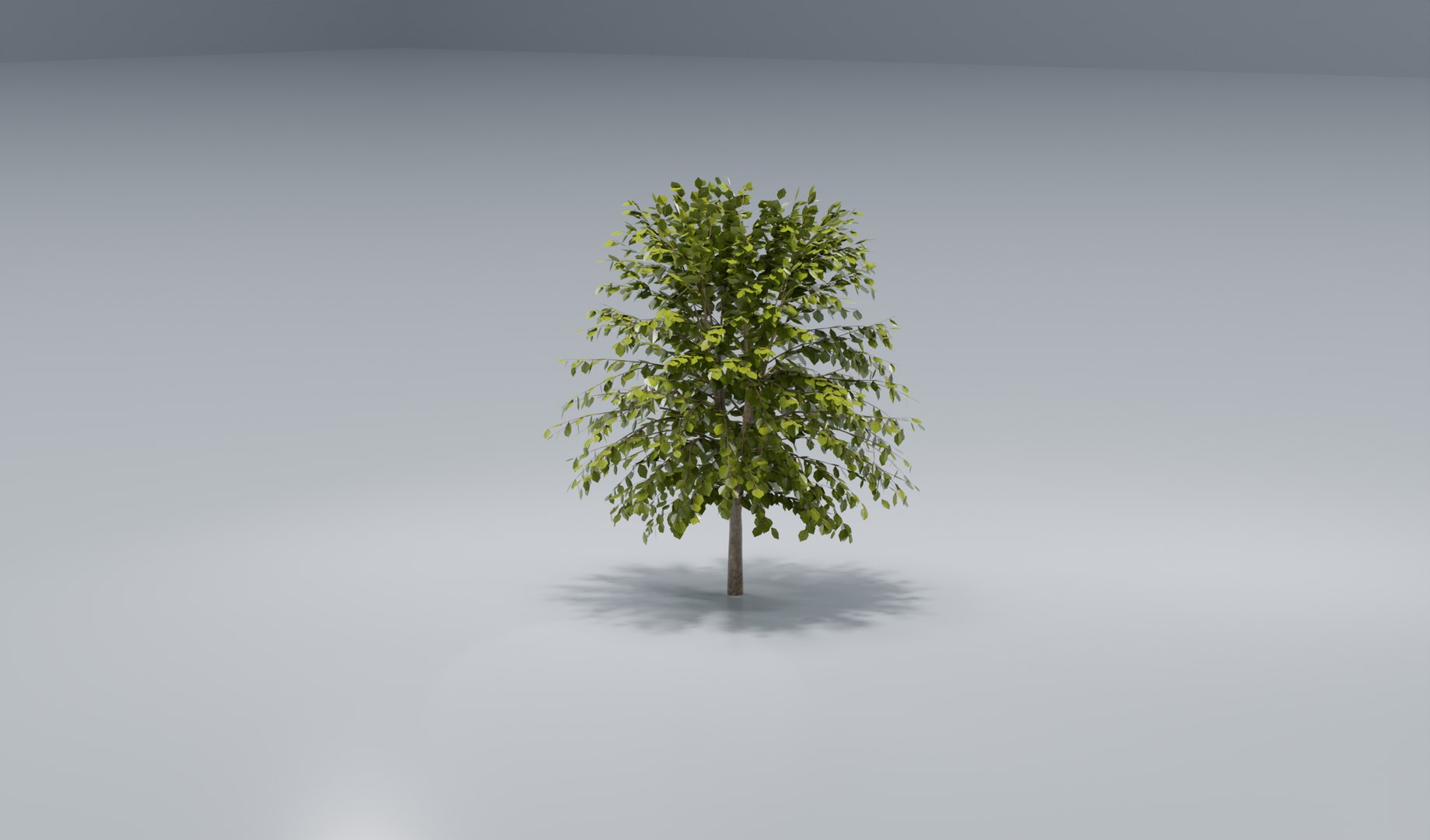 3D Tree - TurboSquid 2240965