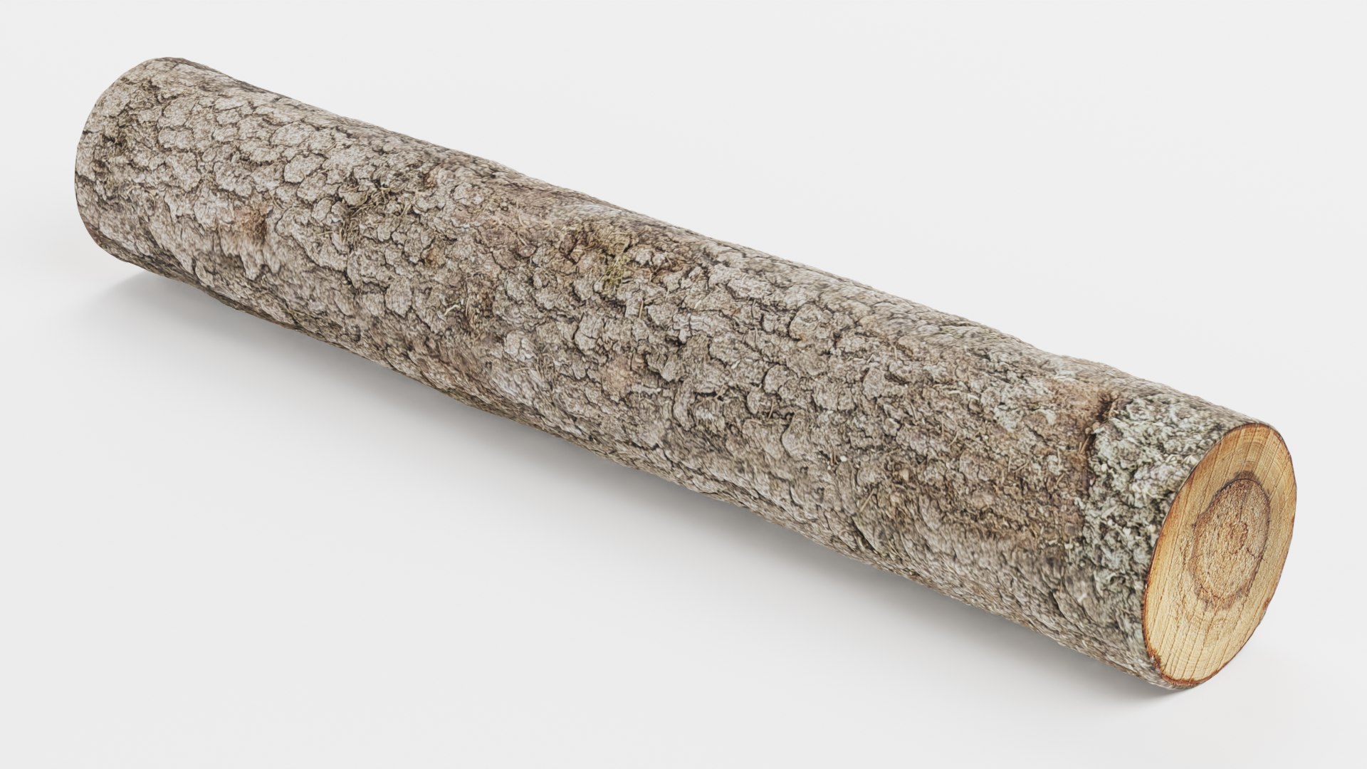 Tree Log 3 Model - TurboSquid 1875465