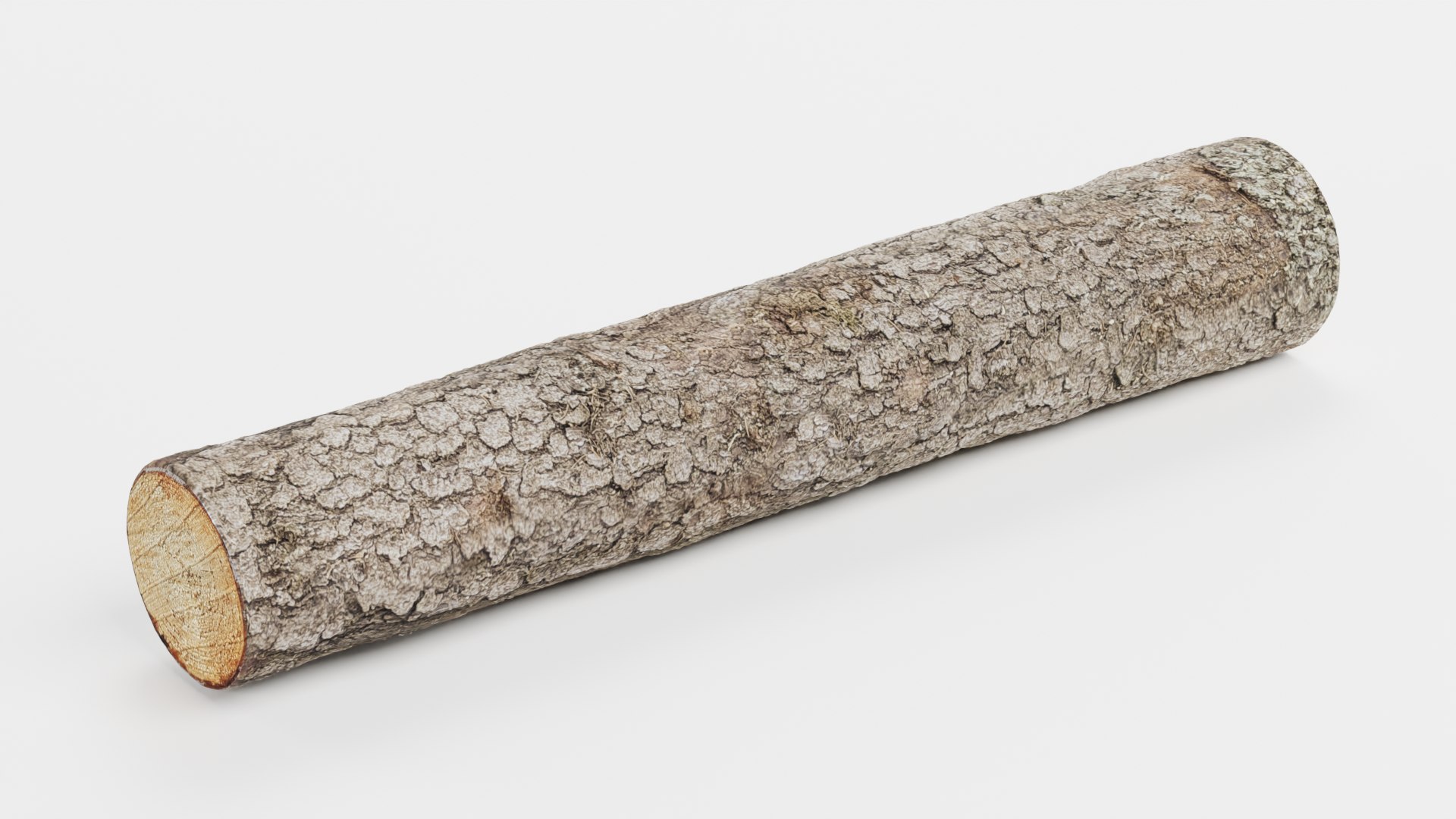 Tree Log 3 Model - TurboSquid 1875465