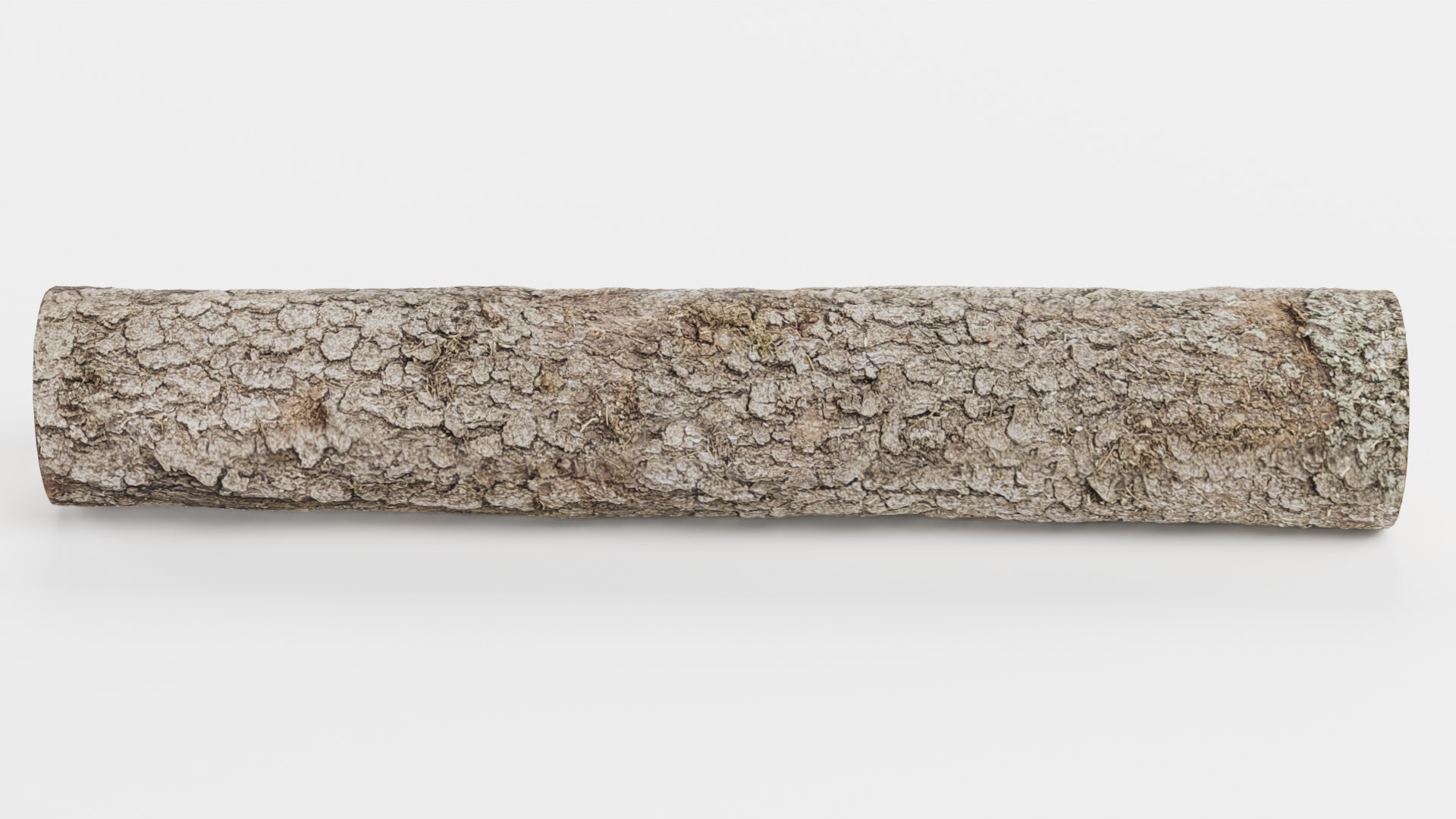 Tree Log 3 Model - TurboSquid 1875465