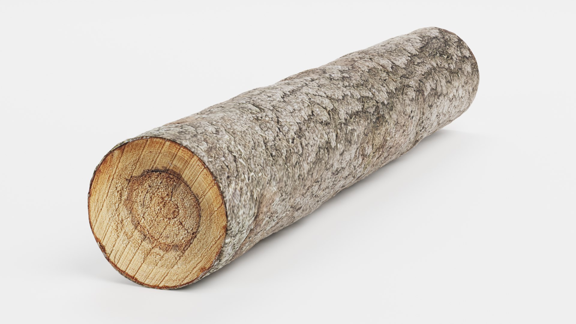 Tree Log 3 Model - TurboSquid 1875465
