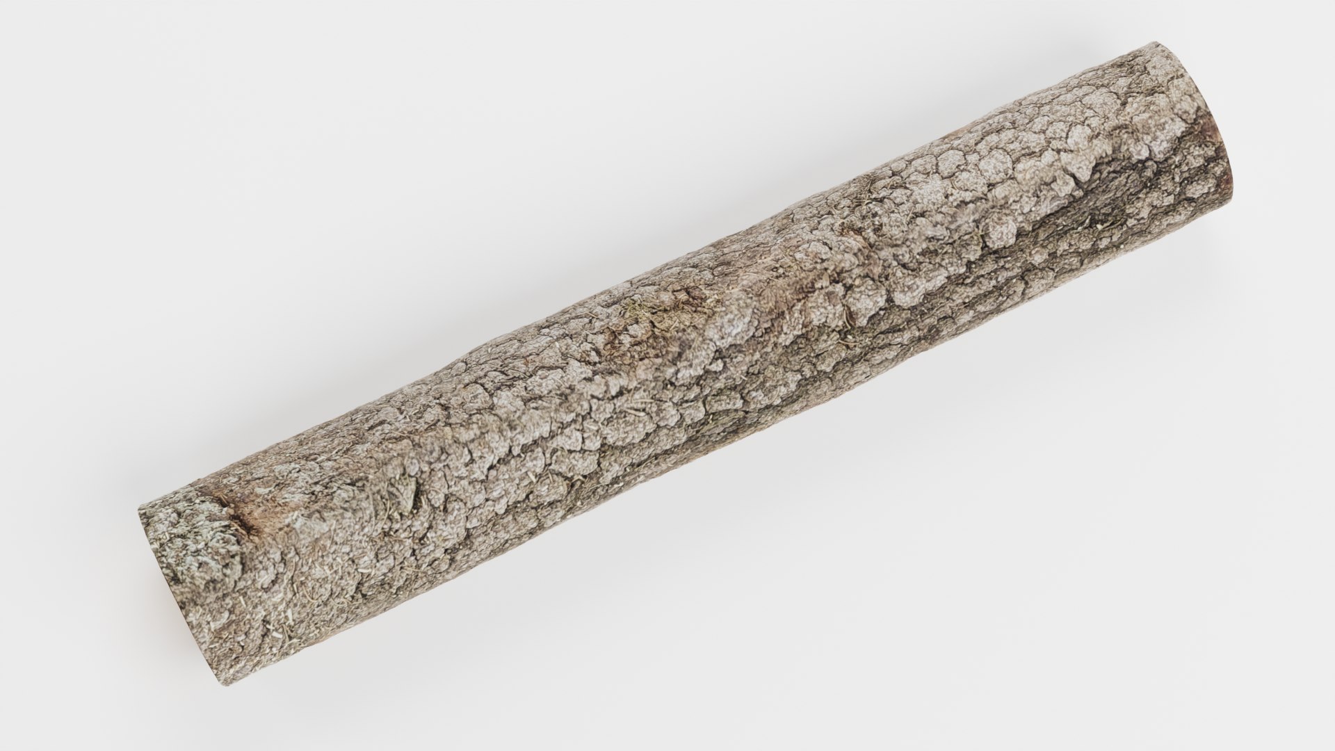 Tree Log 3 Model - TurboSquid 1875465