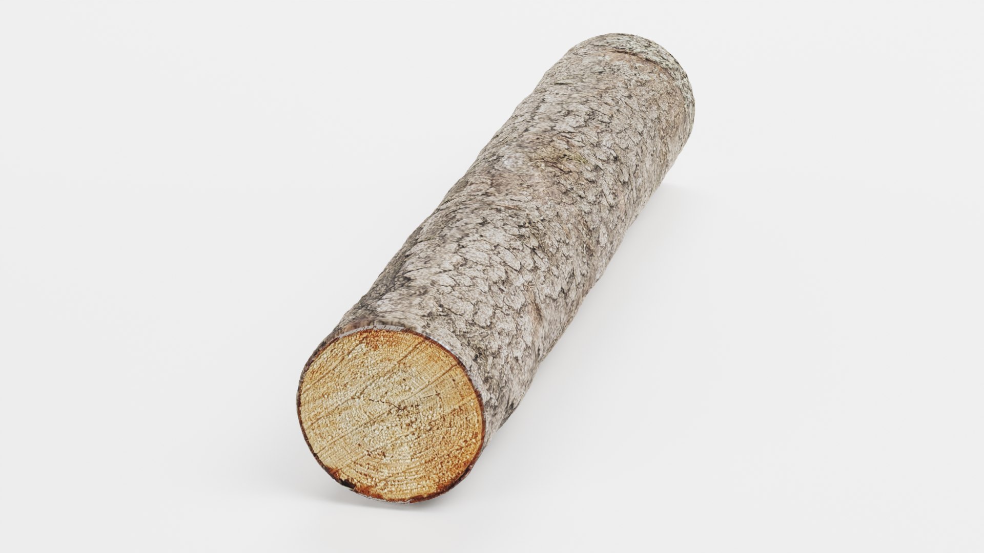 Tree Log 3 Model - TurboSquid 1875465
