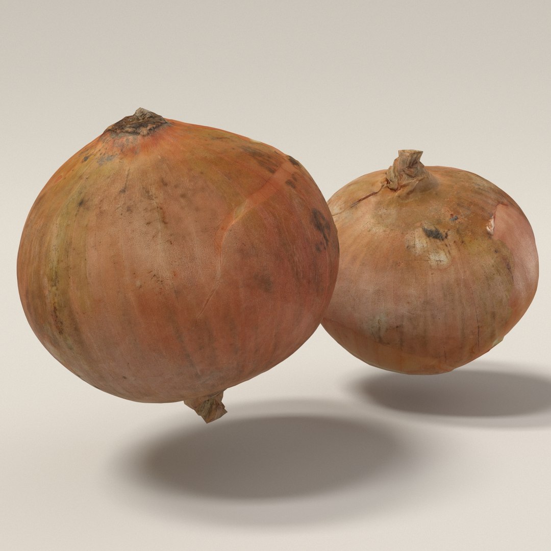 3D Onion Scanned - TurboSquid 1395984