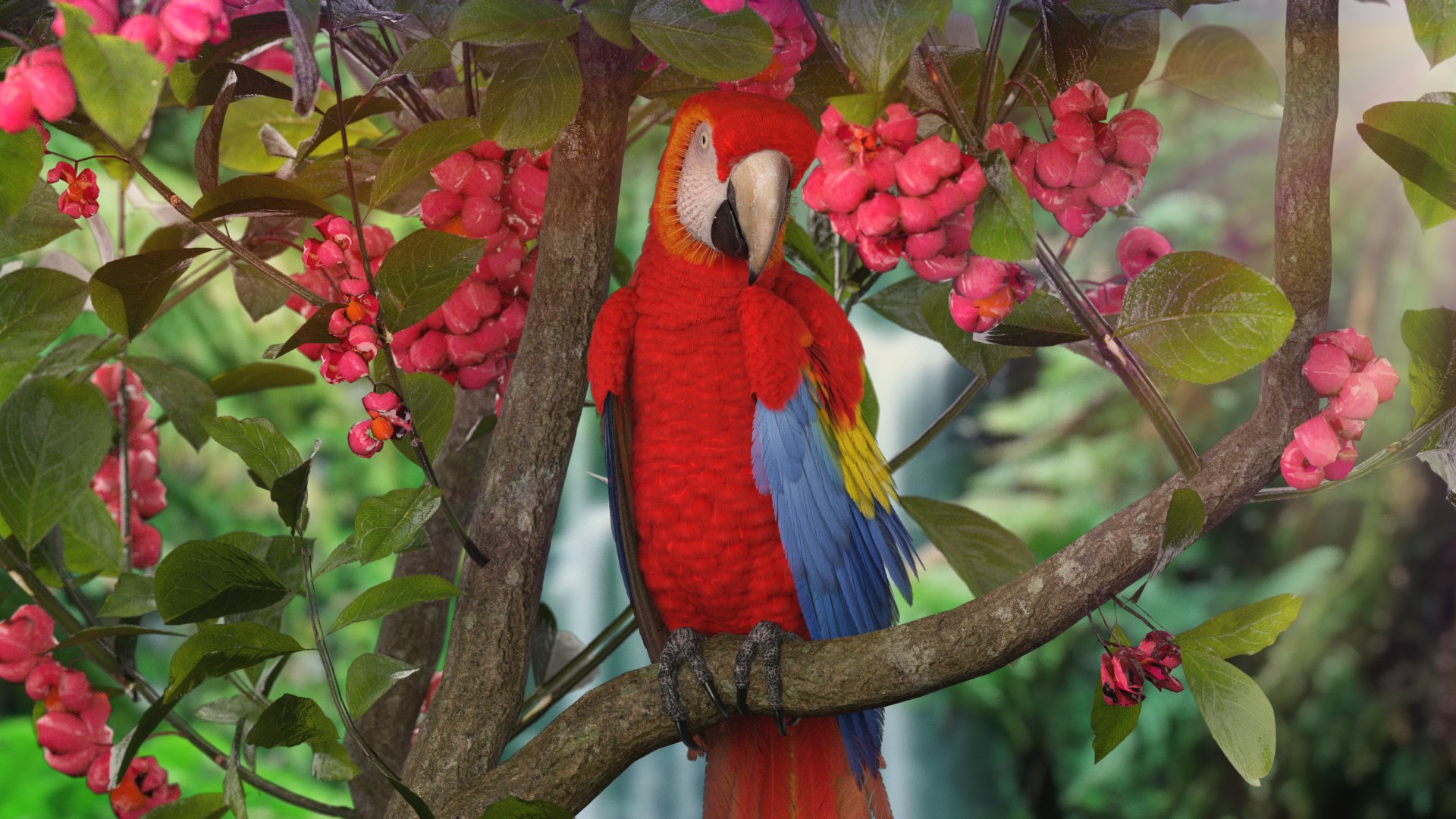 3D Ara macao RIGGED - TurboSquid 2023834