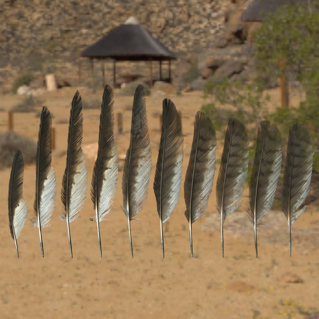 Ready Feather Pack 3D Model - TurboSquid 1228232