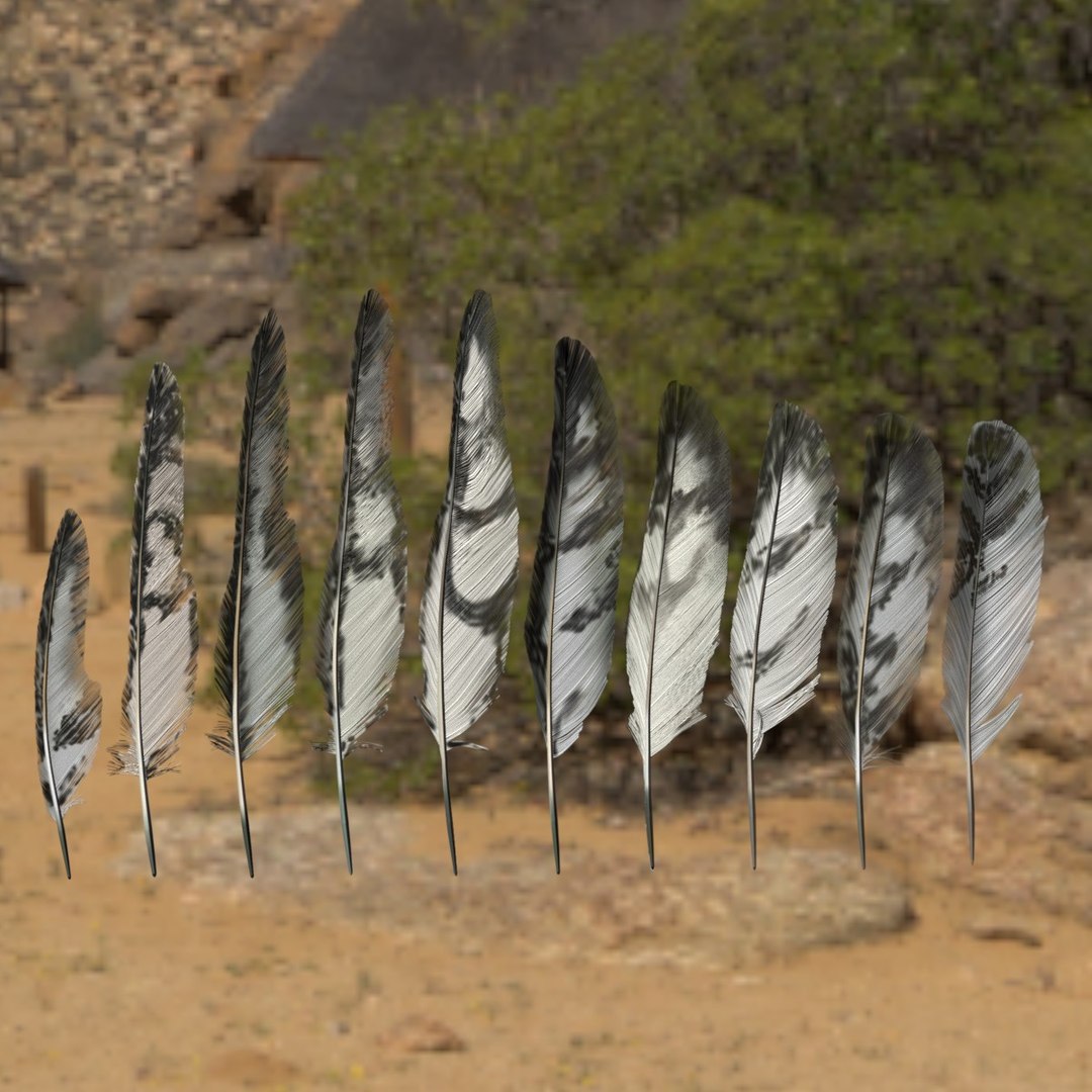 Ready Feather Pack 3D Model - TurboSquid 1228232