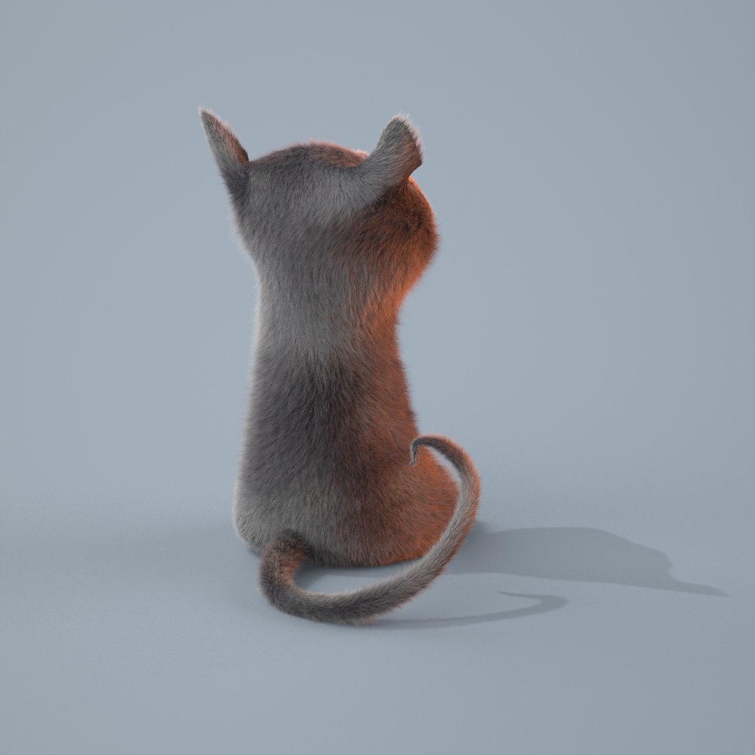 3d Model Modelled Fur