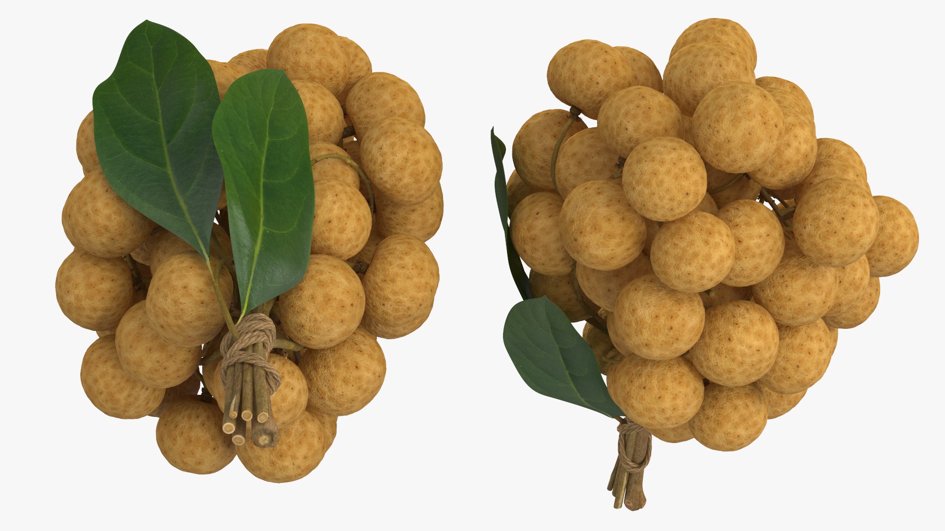 3D Model Longan Exotic Fruit Bundle - TurboSquid 2197609
